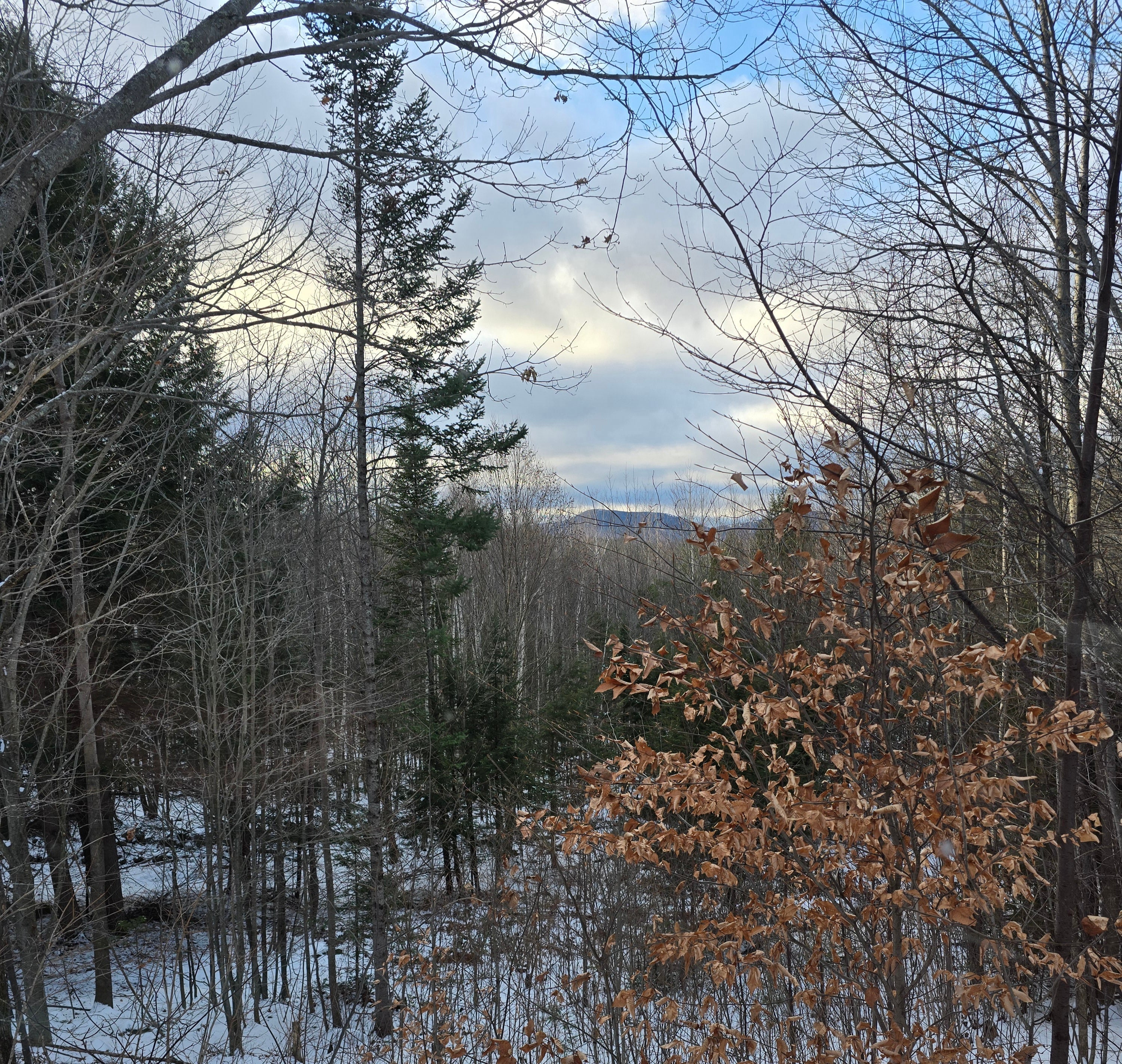 Change of Scenery! – MM Writes